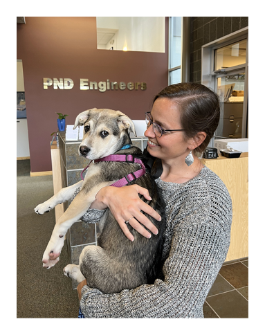 Industry-Leading Engineering Solutions | PND Engineers